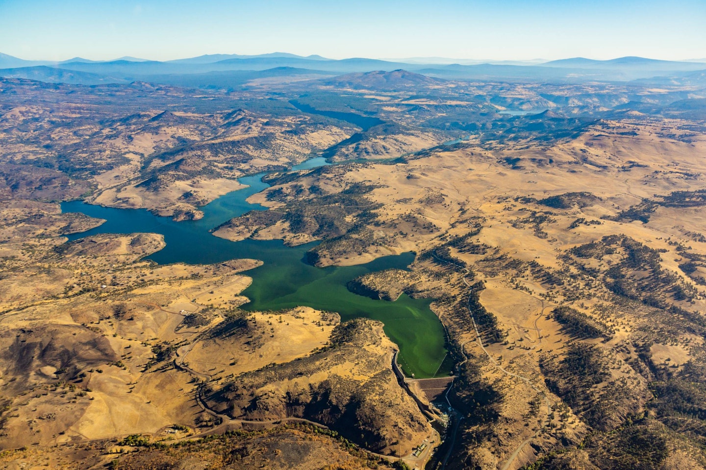 Efter 100 års fravær svømmer laksen atter frit i de oprindelige ...