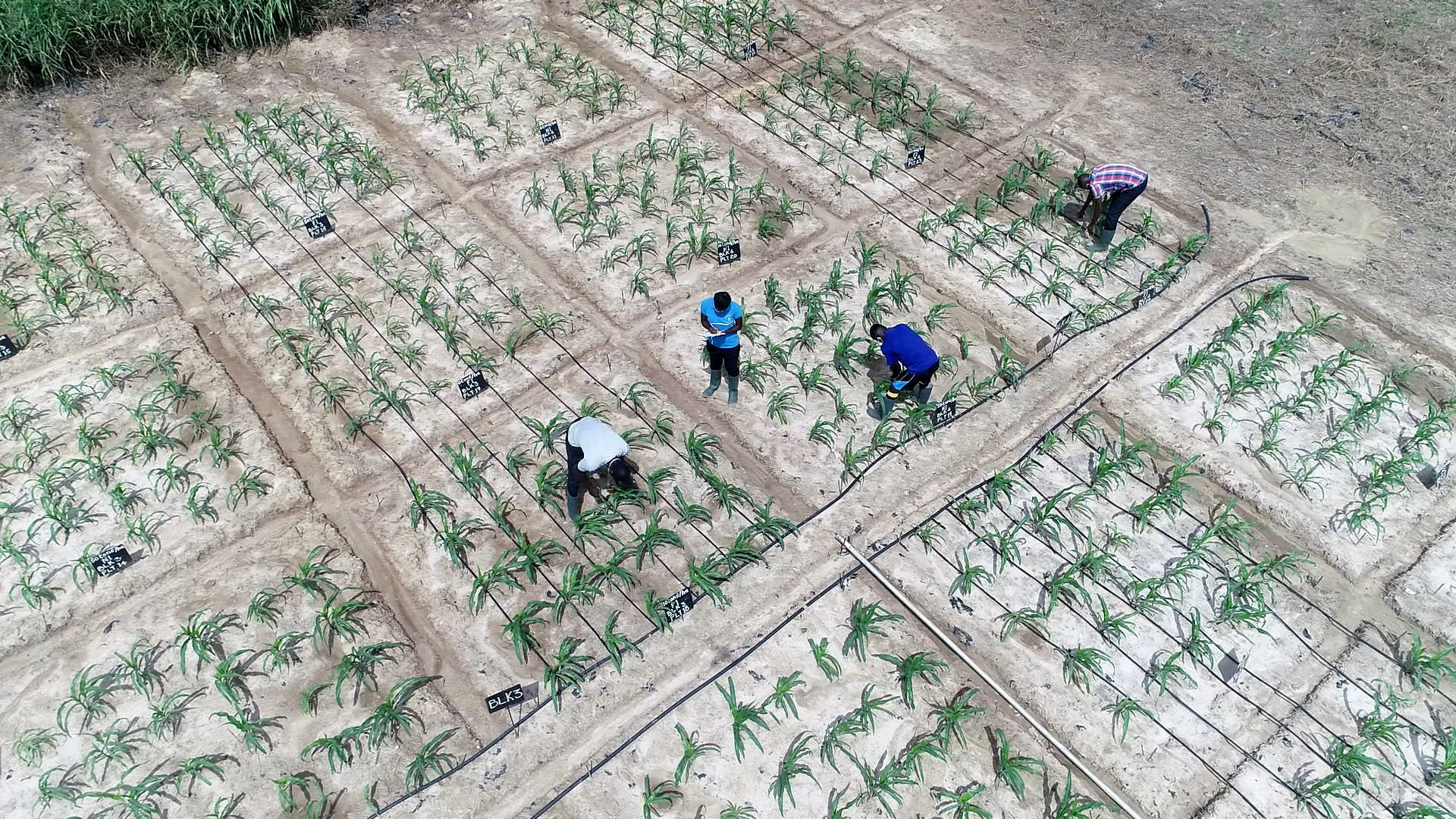 Fremtiden er flydende: Verden over bygger de huse på havet | Verdens ...